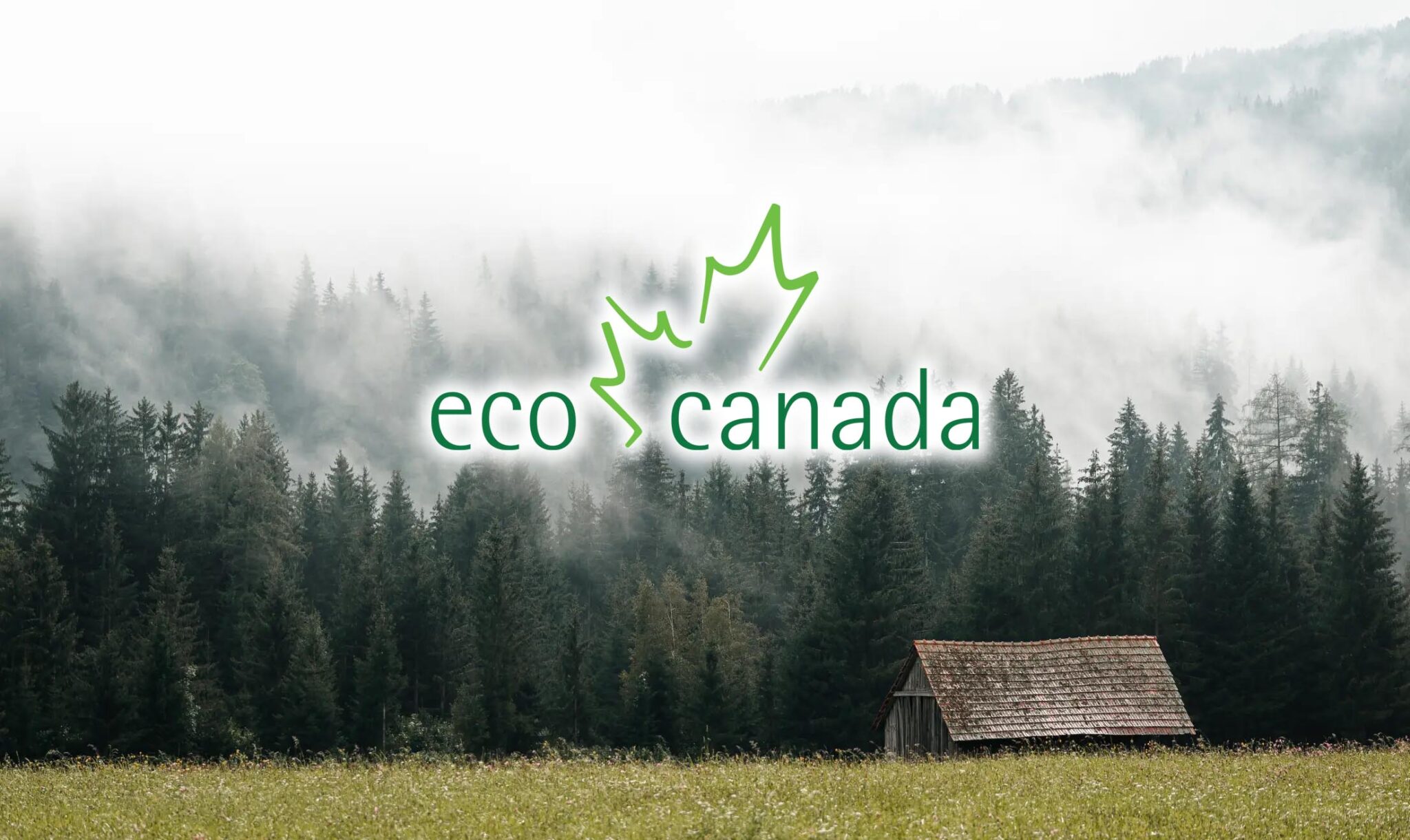Top paying environmental jobs in Canada | ECO Canada