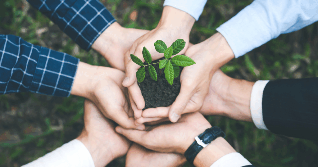 ECO IMPACT 2025 Awards: Celebrating Excellence in Environmental ...