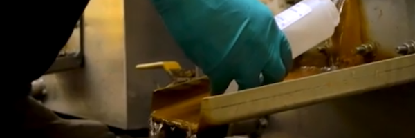 EP's In The Field - Kyle Paddon (Environmental Manager) | ECO Canada